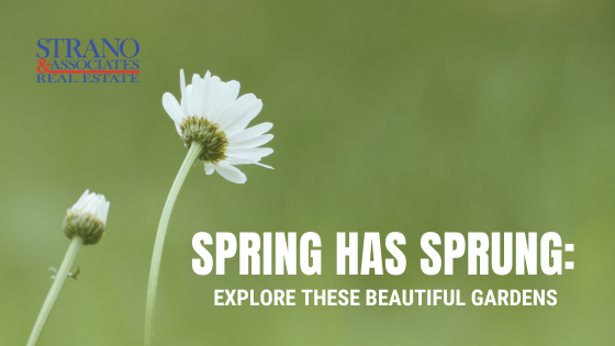 Spring Has Sprung: Explore These Beautiful Gardens | Strano & Associates