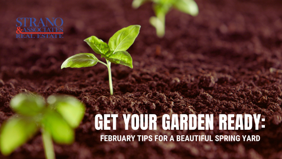 Get Your Garden Ready: February Tips for a Beautiful Spring Yard ...